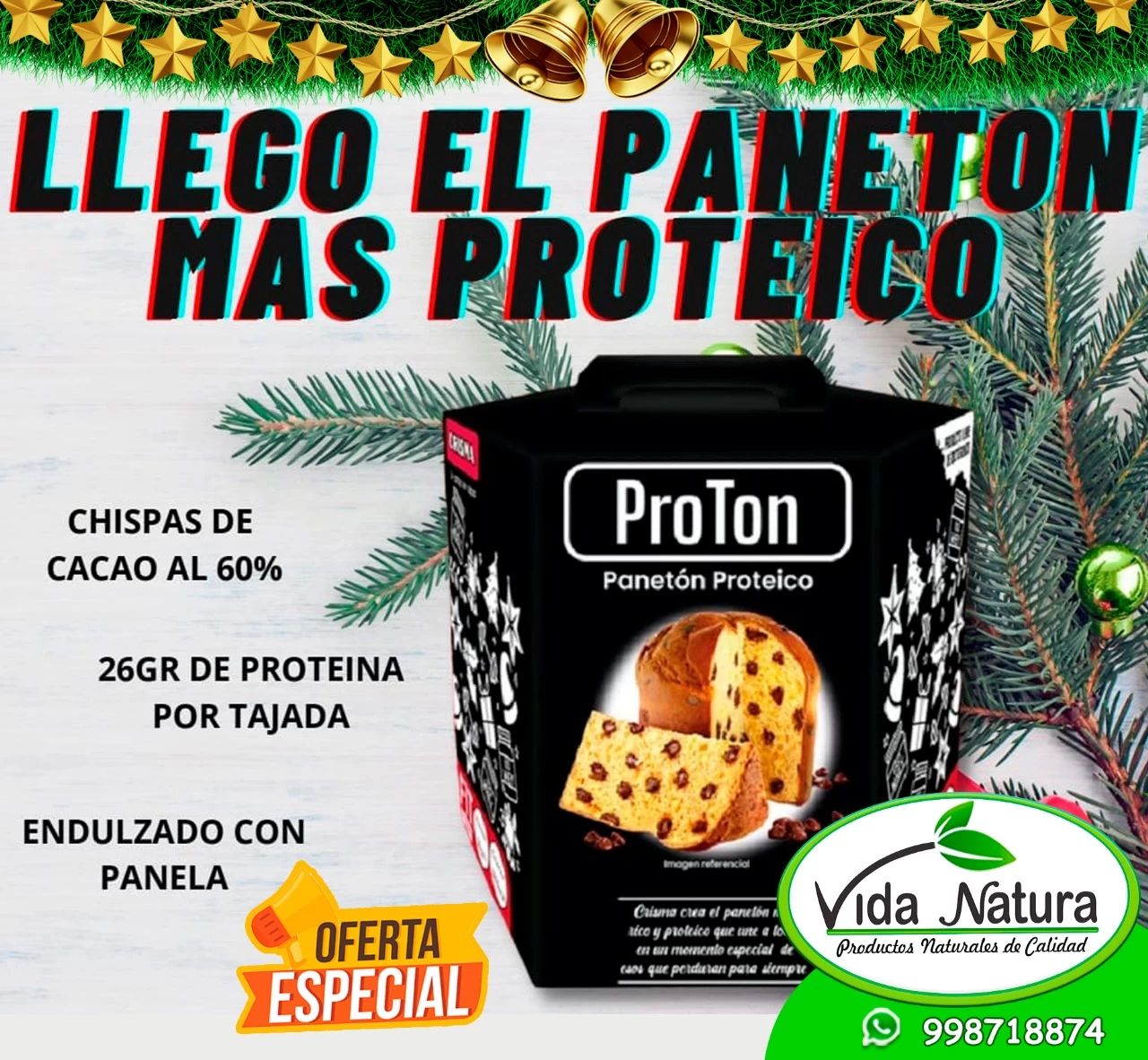 PANETON PROTEICO PROTON | Vida Natura ecommerce
